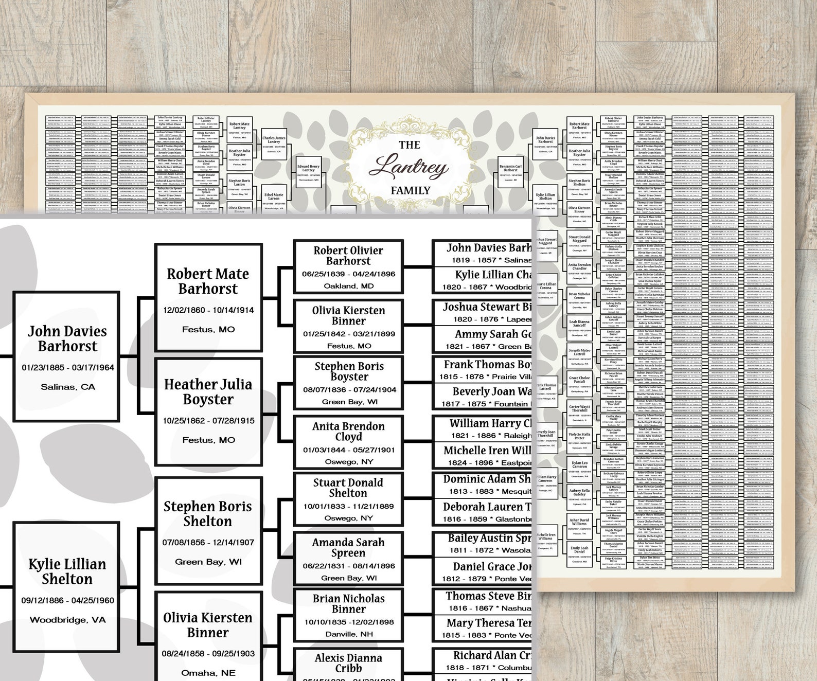 9 Generations Family Tree Template: Old Leafy Branched Tree Lantri ...