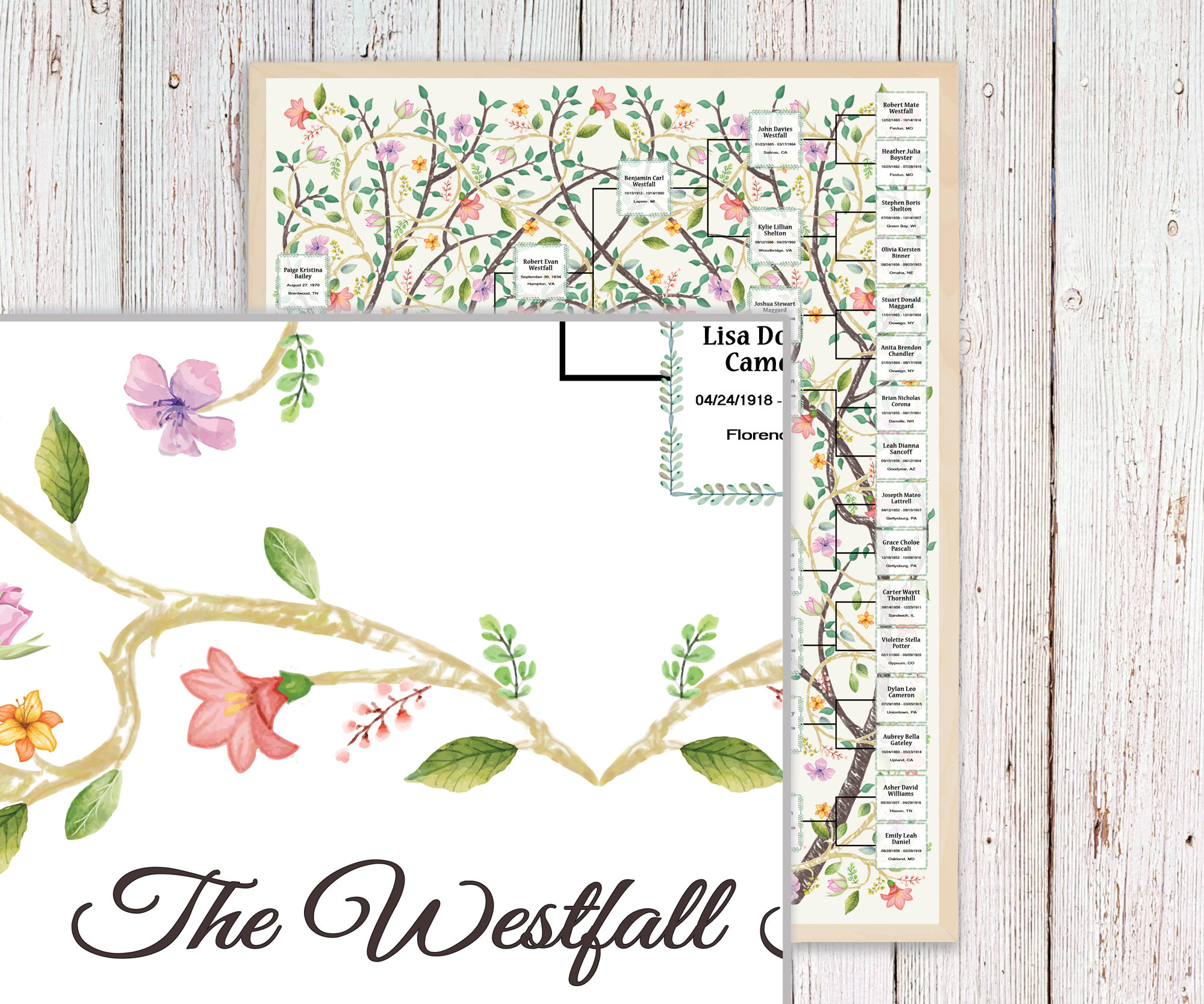 Family Tree Template for 5 Generations. Two Branched Intertwining Trees ...