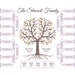 Family Tree Chart for 6 Generations. Tree With Roots Large Stivi Four ...