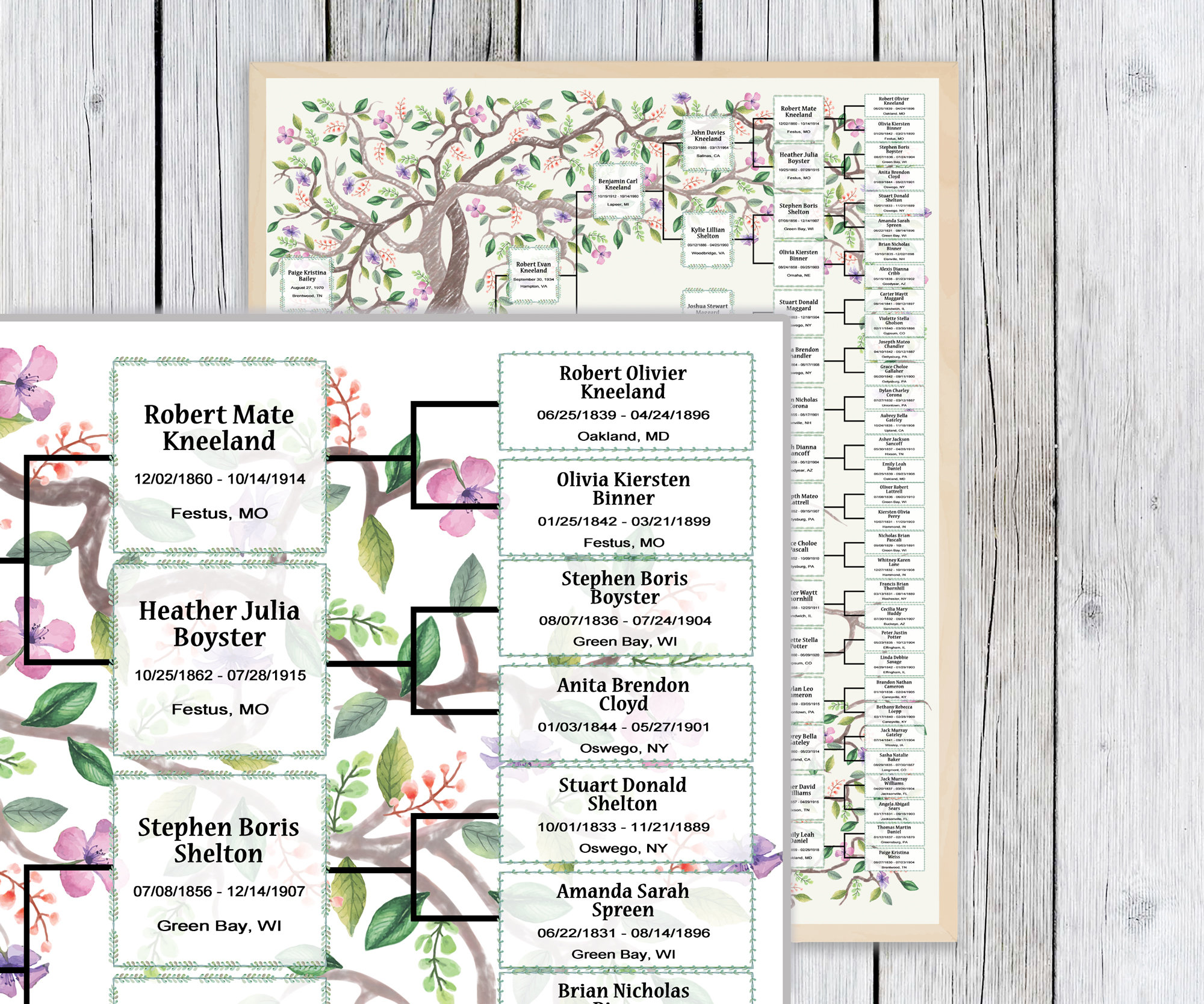 Family Tree Template for 6 Generations. Two Intertwining Trees Kneli ...