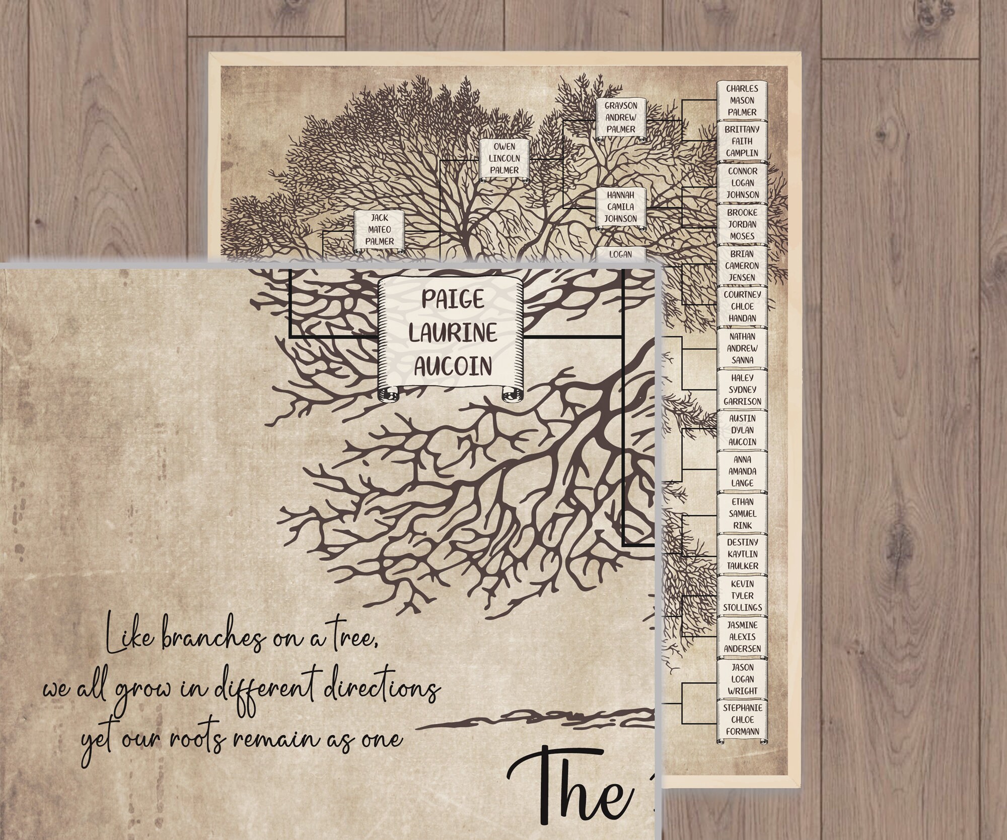 Family Tree Template for 5 Generations. Branched Black Poplar Palmi ...