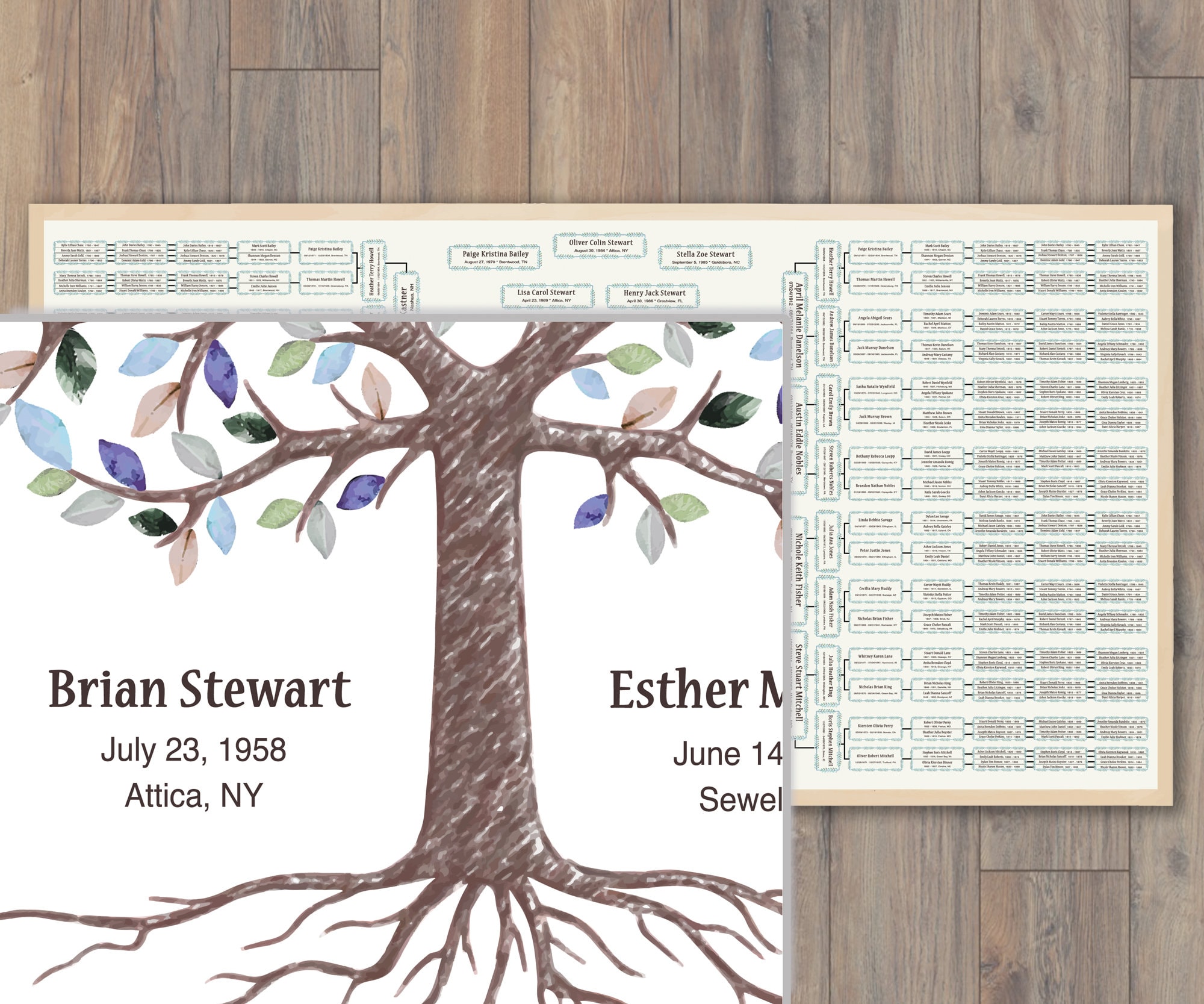 Family Tree Template for 8 Generations. Tree With Roots Large Winter ...