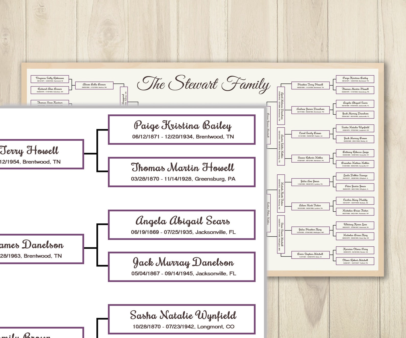 4-5 Generations Family Tree: Chart With Roots Large Stivi Genealogy ...