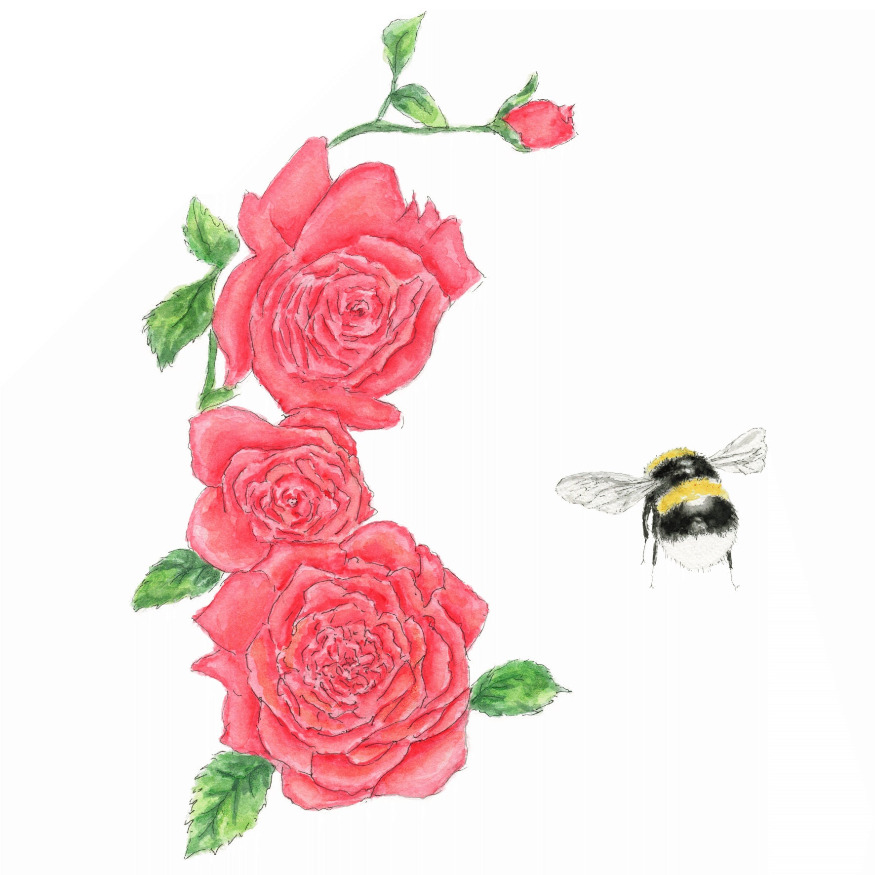 Rose Bee Blank Bee Card Bee Greeting Card Flower Card Flower Greeting ...