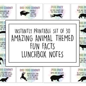 Printable Animal Fun Facts, Set of 30 Kids Lunchbox Notes, Educational ...