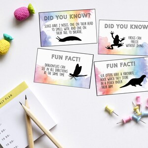 Printable Amazing Animal Themed Fun Facts, Set of 50 Kids Lunchbox ...