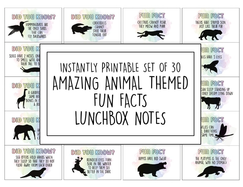 Printable Animal Fun Facts, Set of 30 Kids Lunchbox Notes, Educational ...