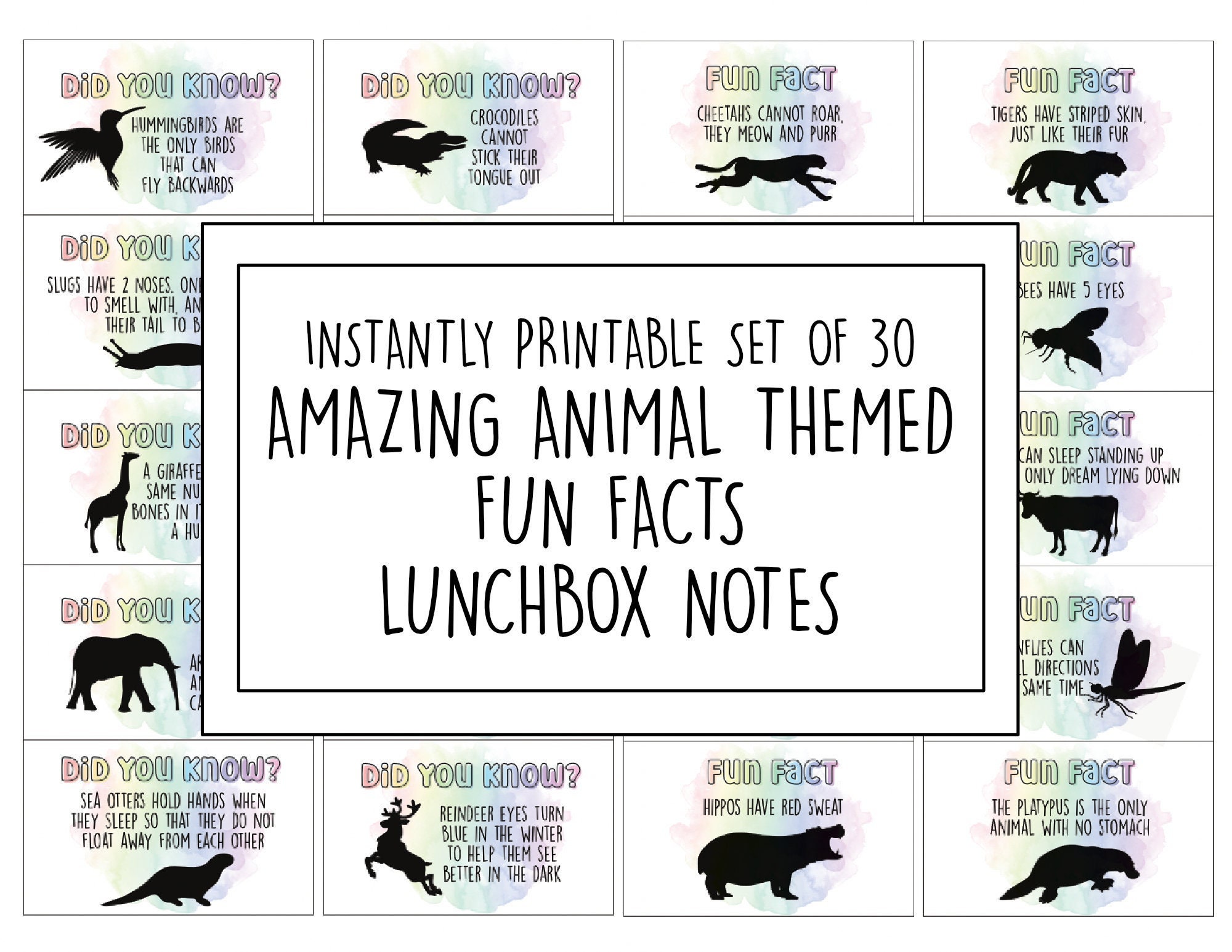 Printable Animal Fun Facts, Set of 30 Kids Lunchbox Notes, Educational ...