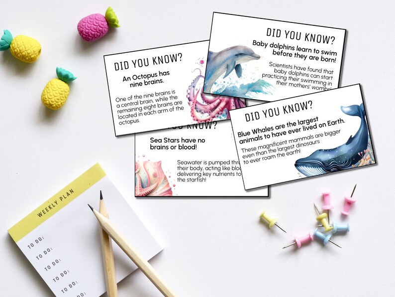 Marine Life Themed Fun Facts, Set of 30 Kids Lunchbox Notes ...
