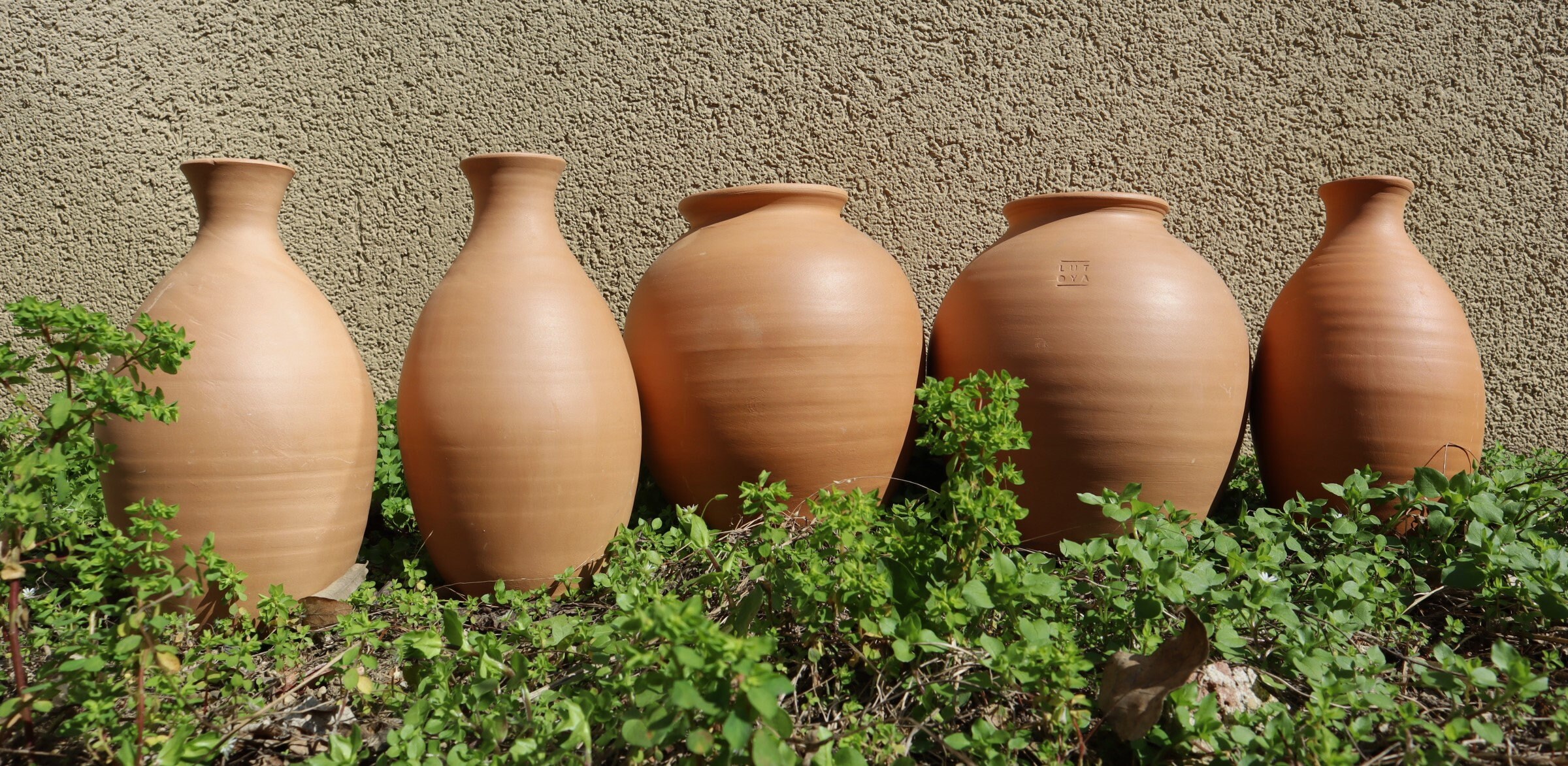 Olla Lutoya 2L Self Watering Pot for Your Garden Beautiful - Etsy Australia