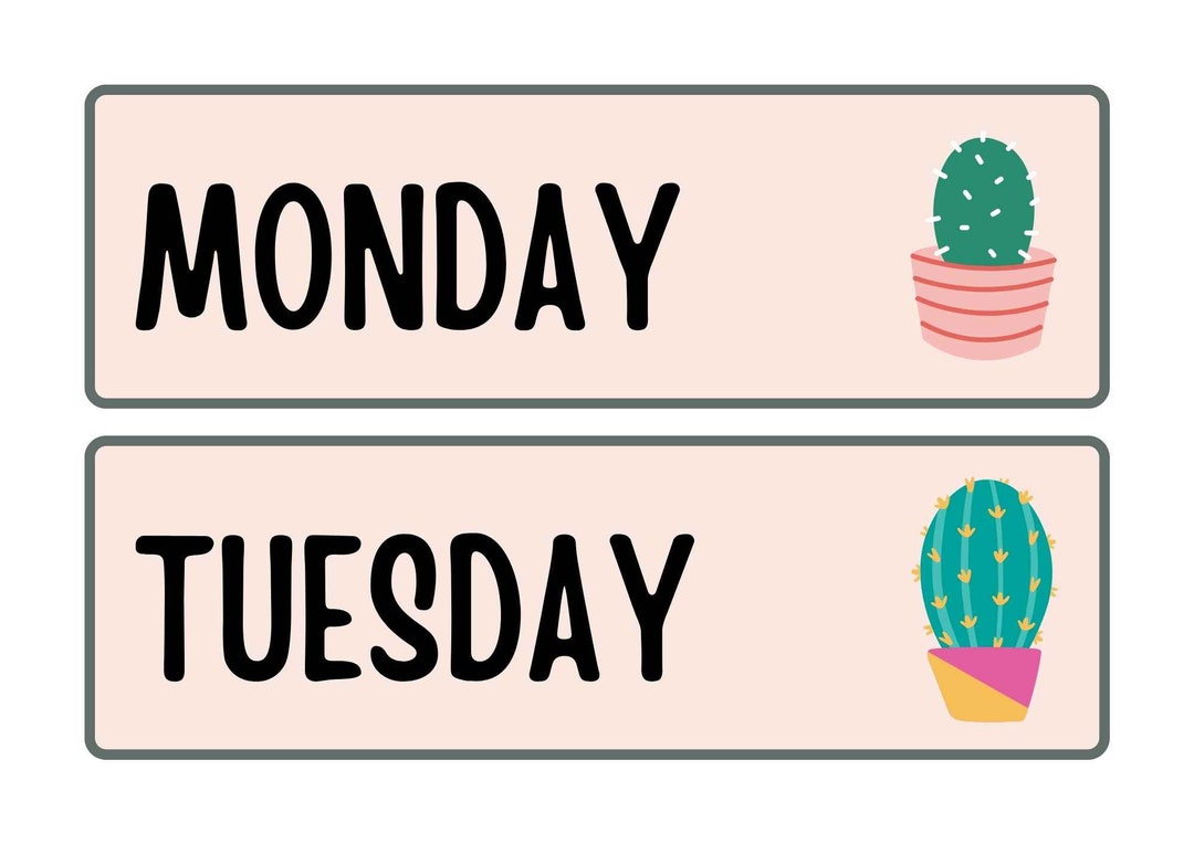 Cute Cactus Days of the Week | Classroom Management | Digital Download ...
