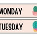 Cute Cactus Days of the Week | Classroom Management | Digital Download ...