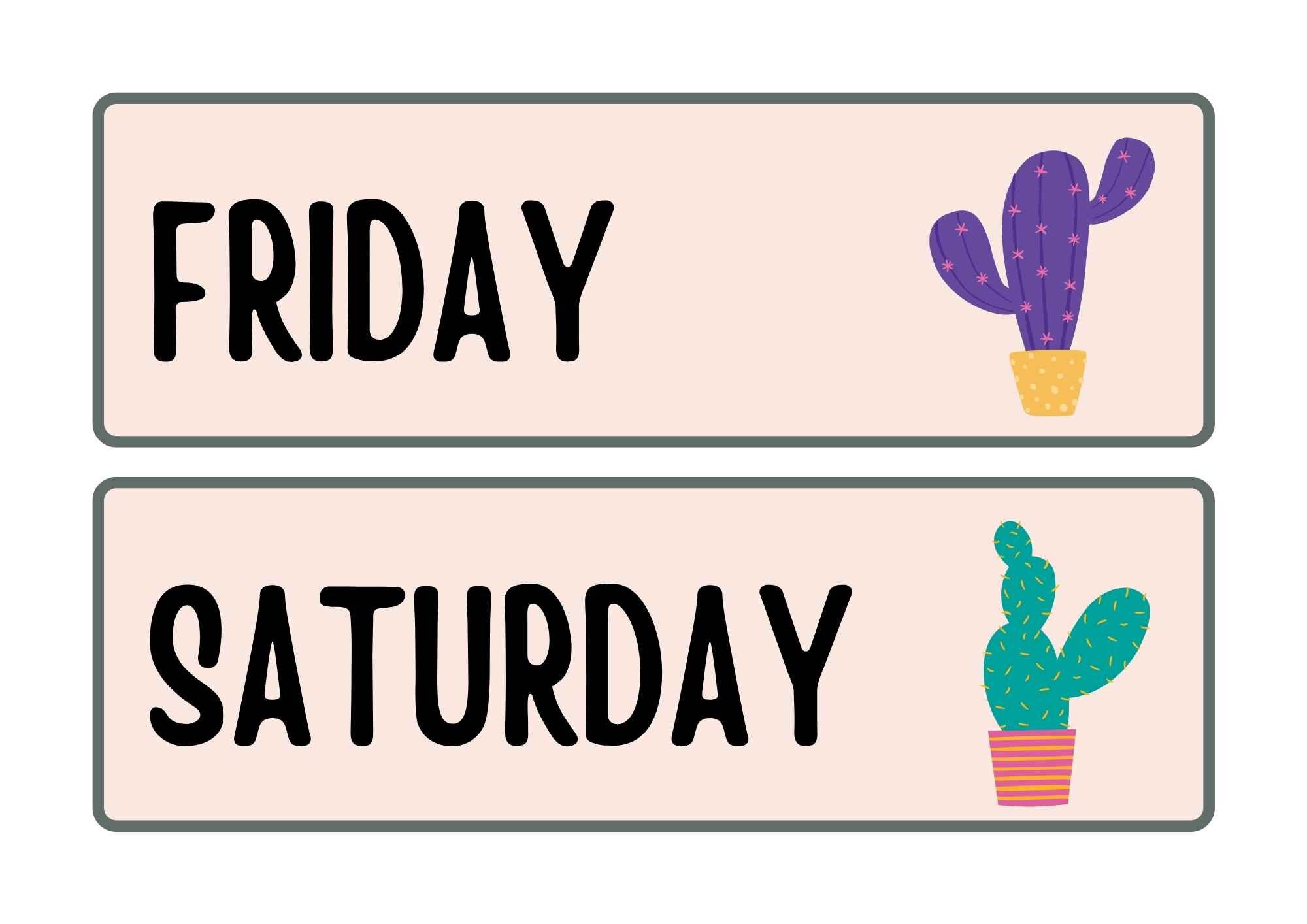 Cute Cactus Days of the Week | Classroom Management | Digital Download ...