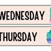 Cute Cactus Days of the Week | Classroom Management | Digital Download ...
