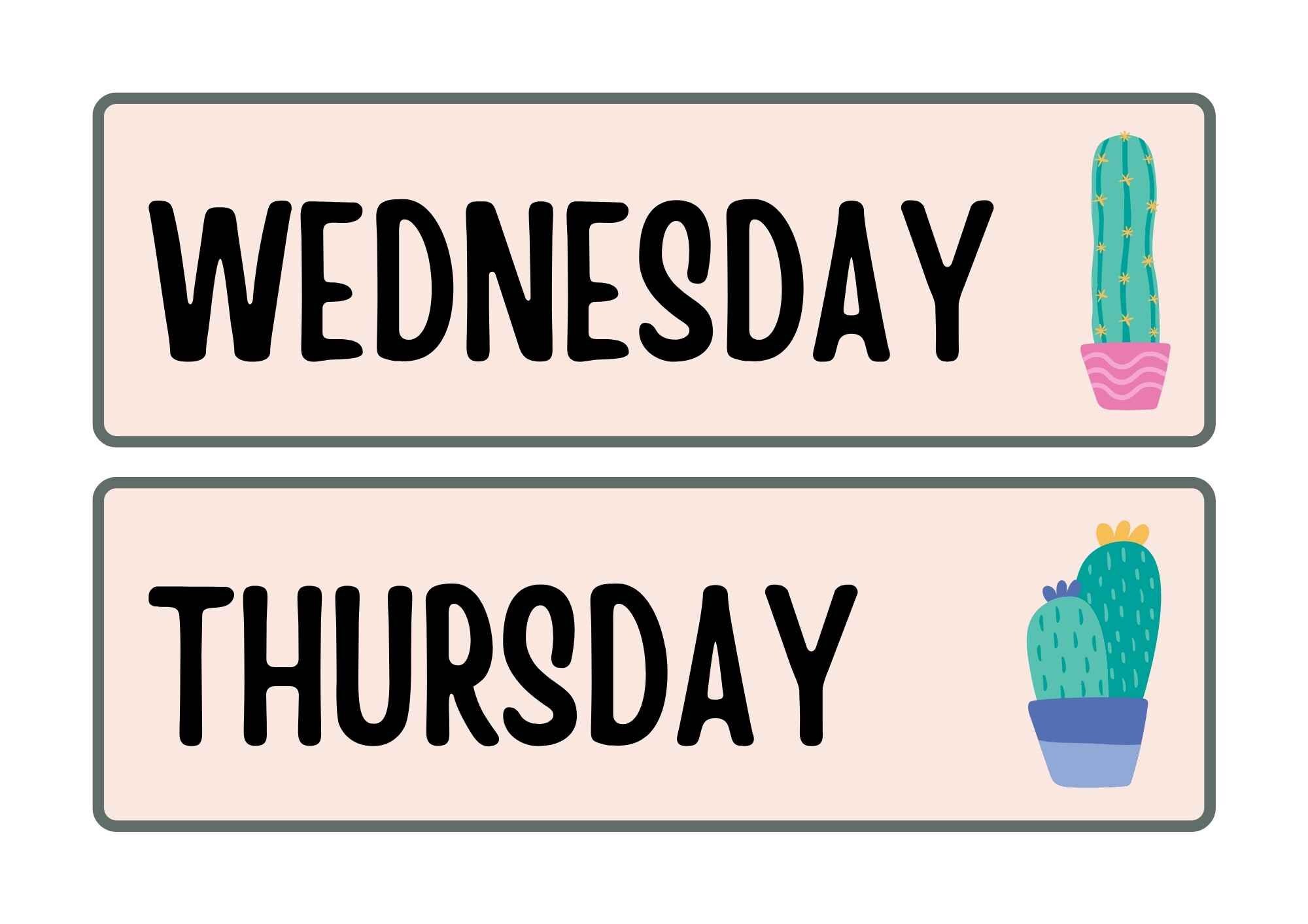 Cute Cactus Days of the Week | Classroom Management | Digital Download ...