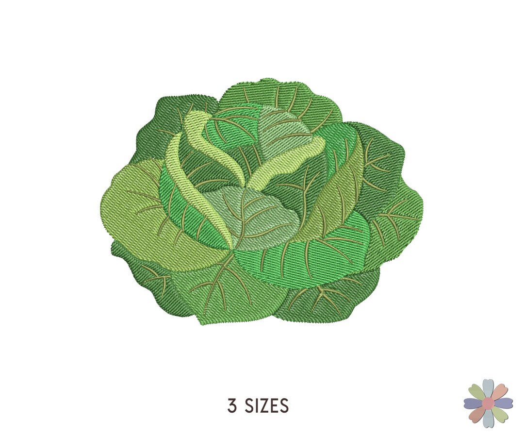 Green Cabbage Fresh Embroidery Design. Machine Embroidery Fruits ...
