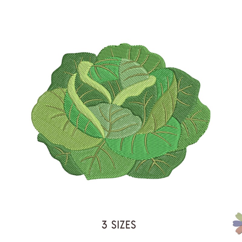 Cabbage - Etsy
