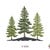 Forest Pine and Fir Trees Embroidery Design. Machine Embroidery Pattern ...