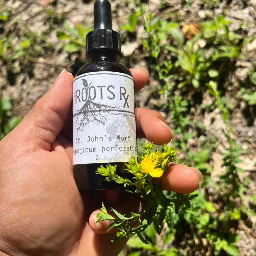 St. John's Wort Tincture Organic| Hypericum Perforatum - Etsy