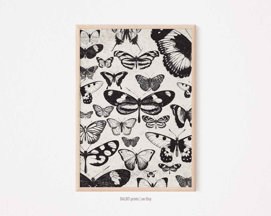 Vintage Butterfly Wall Art, Black Butterfly Poster, Vintage Butterfly ...
