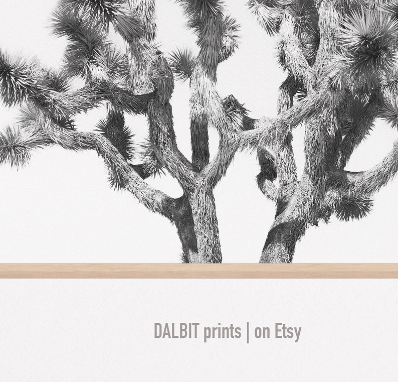 Joshua Tree Wall Art, Black and White Art, Desert Wall Art, Joshua Tree ...