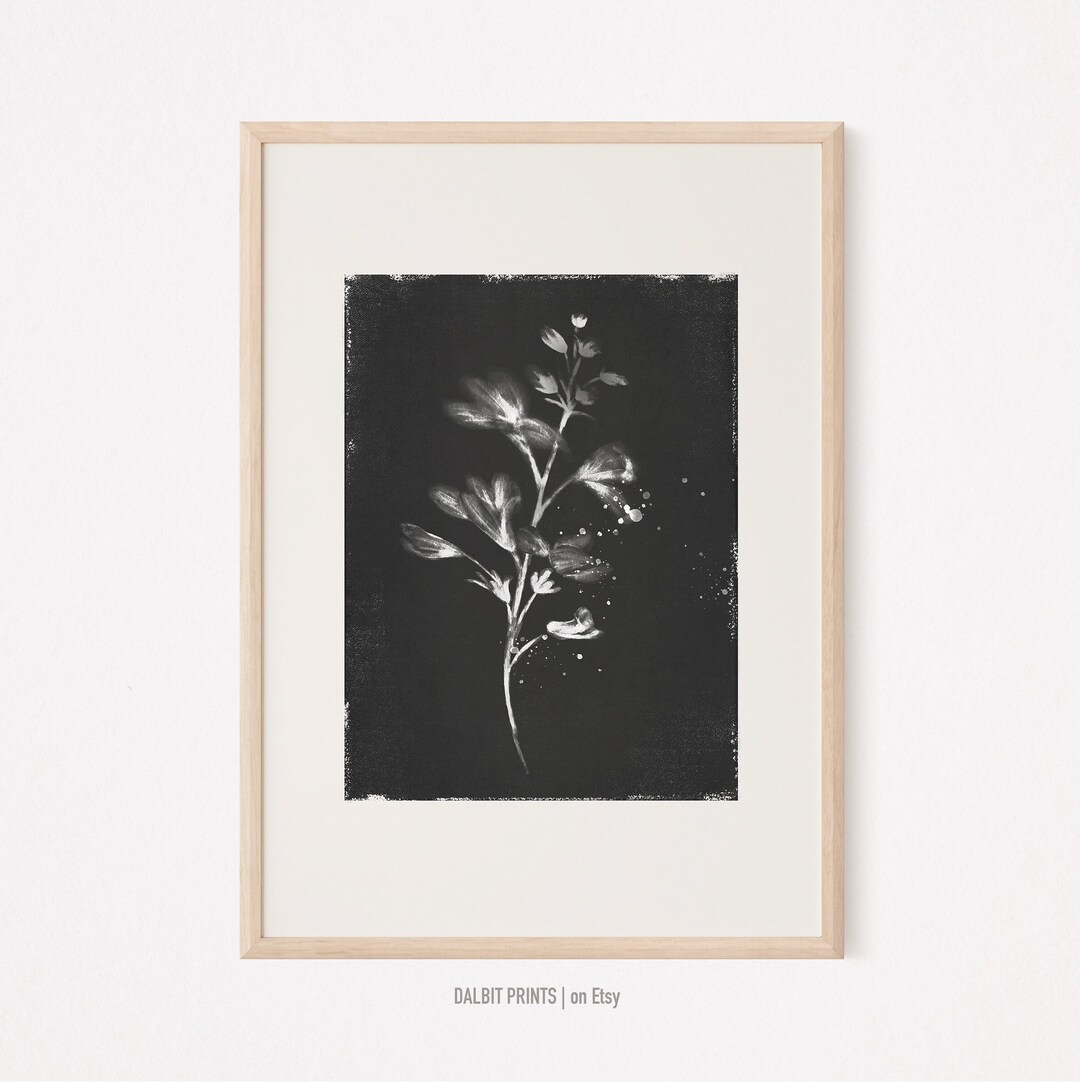 Botanical Collection: Black and White Floral Prints, Black Botanical ...