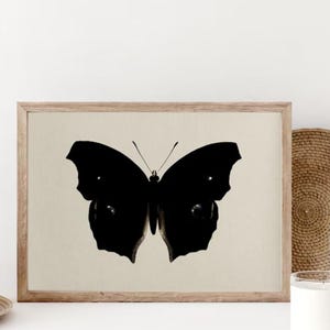 Butterfly Painting Black Butterfly Vintage Art Print Insect Poster ...