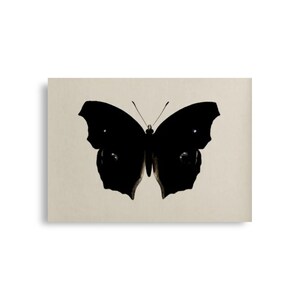 Butterfly Painting Black Butterfly Vintage Art Print Insect Poster ...
