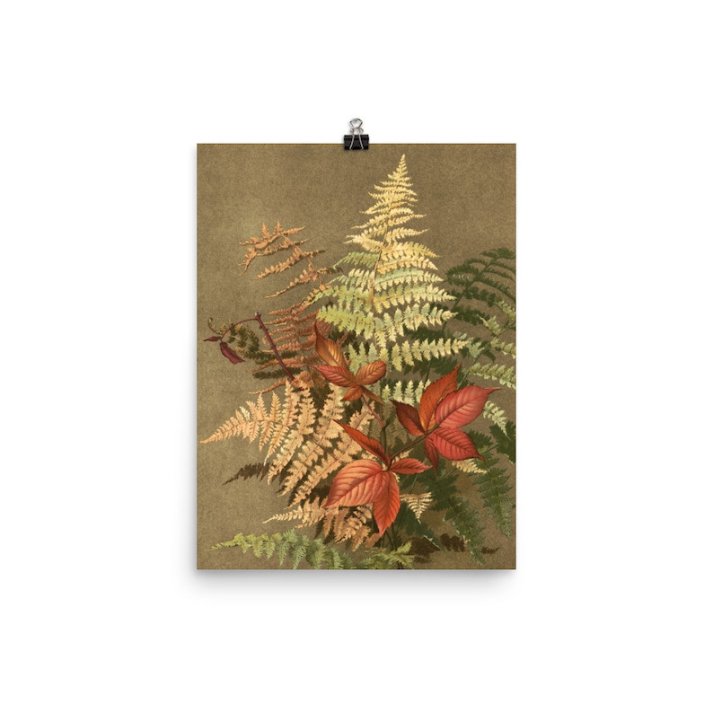 Vintage Fern Botanical Print: Autumn Still Life Poster - Etsy