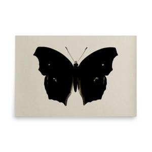 Butterfly Painting Black Butterfly Vintage Art Print Insect Poster ...