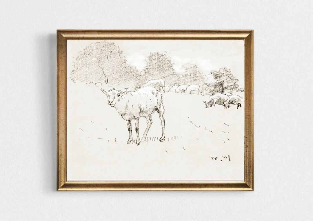 Sheep Sketch Print: Vintage Farmhouse Animal Art - Etsy