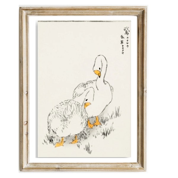 Ducks Drawing - Etsy