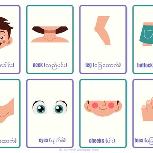 Body Parts Flashcards in Both English and Burmese - Etsy