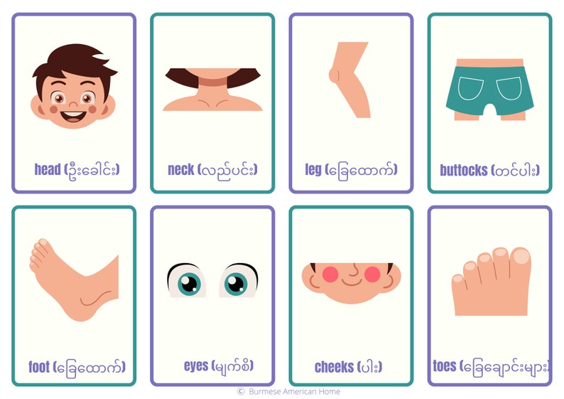 Body Parts Flashcards in Both English and Burmese - Etsy
