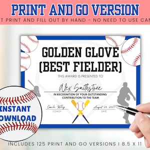 Editable Baseball Awards, Funny Baseball Awards, End of Season Award ...