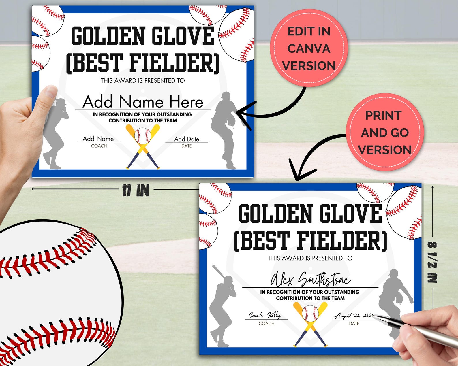 Editable Baseball Awards, Funny Baseball Awards, End of Season Award ...