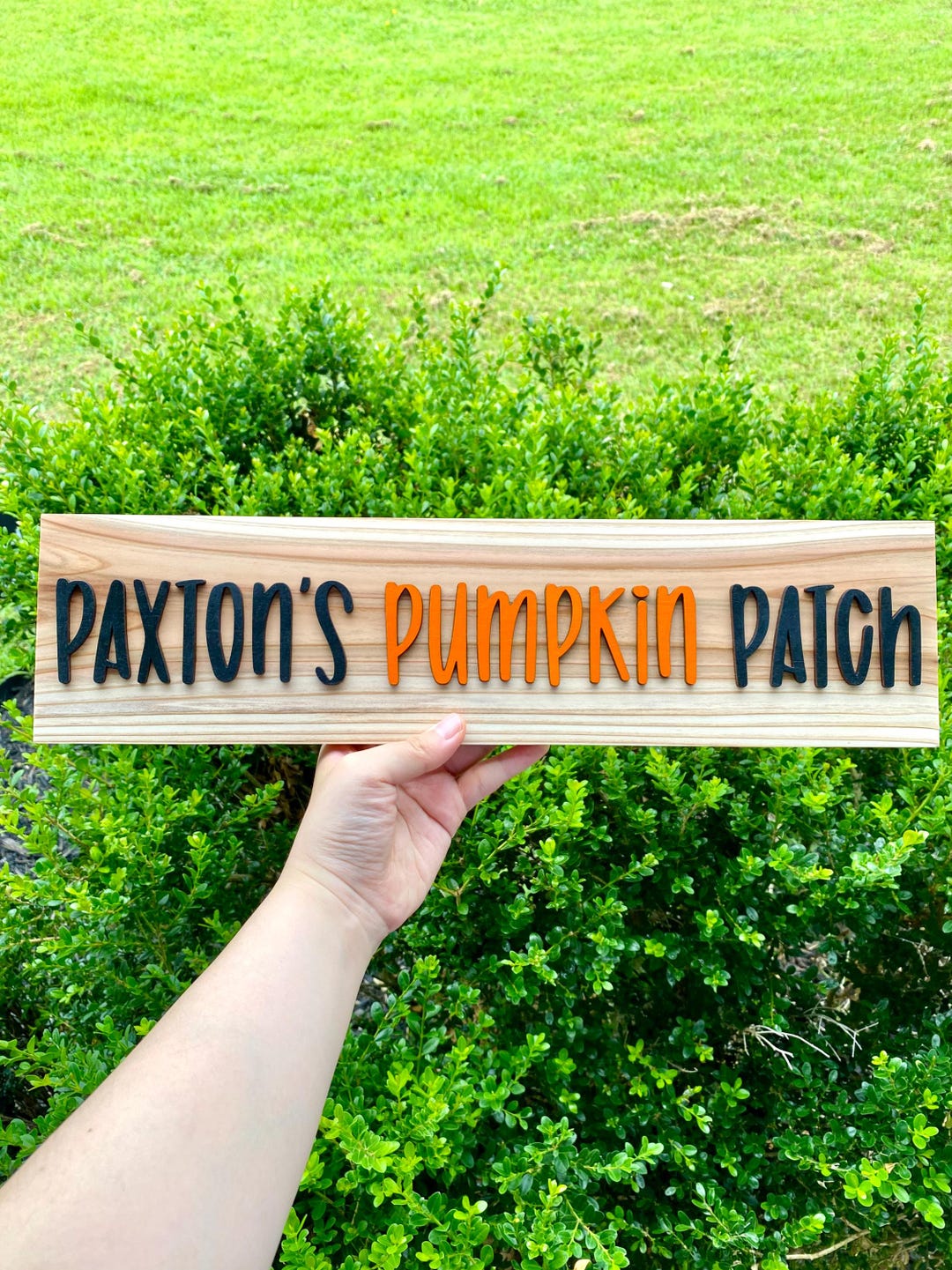 Personalized 3D Pumpkin Patch Sign: Painted Wood Fall Decor - Etsy