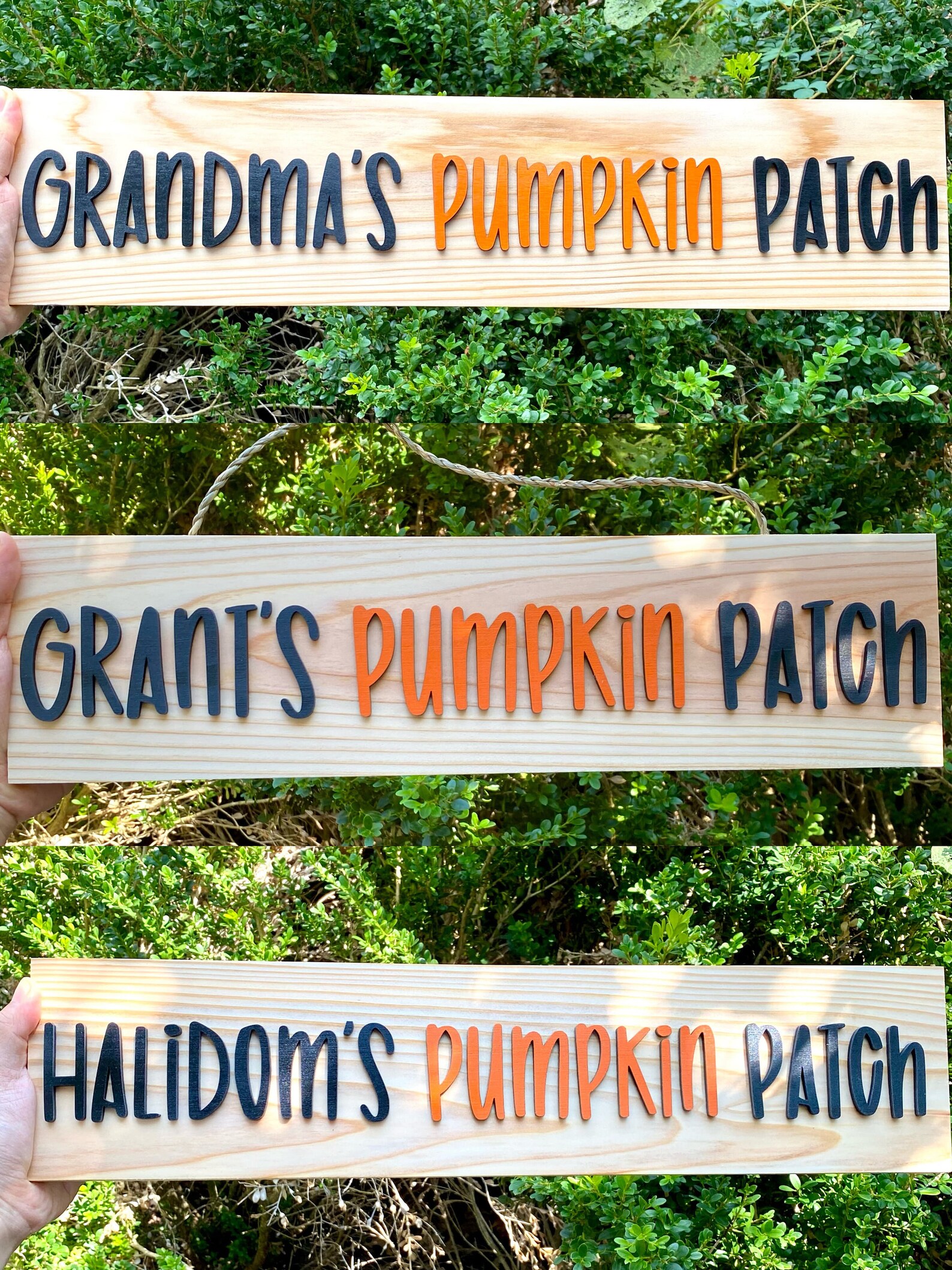 Personalized 3D Pumpkin Patch Sign: Painted Wood Fall Decor - Etsy