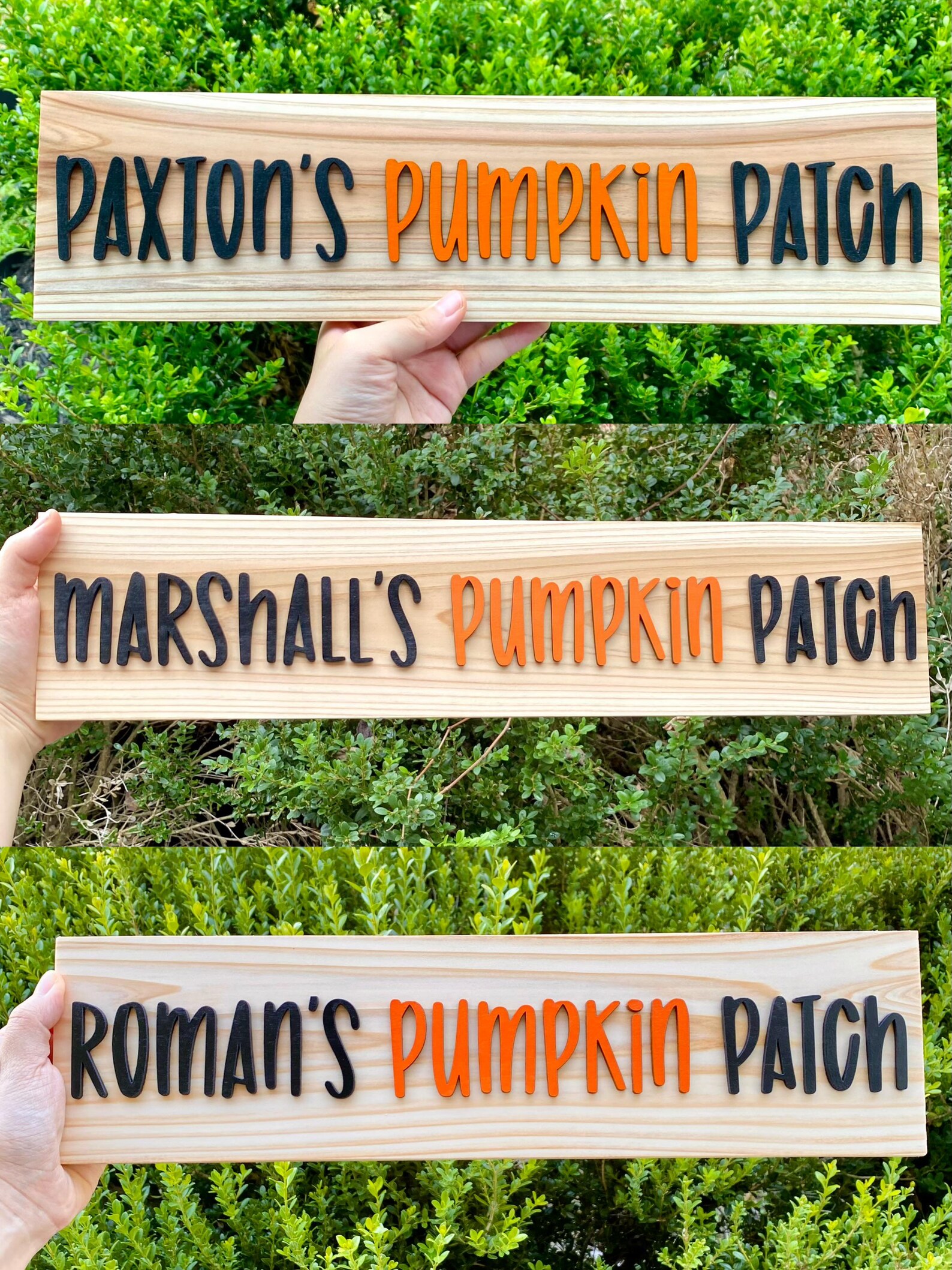 Personalized 3D Pumpkin Patch Sign: Painted Wood Fall Decor - Etsy
