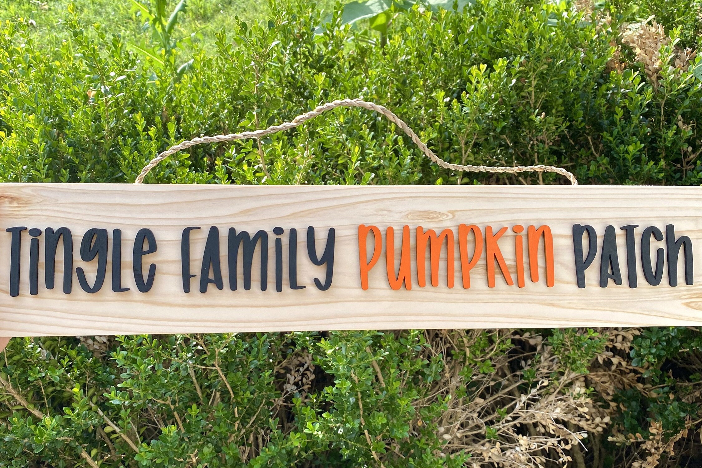 Personalized 3D Pumpkin Patch Sign Painted Wood Sign - Etsy