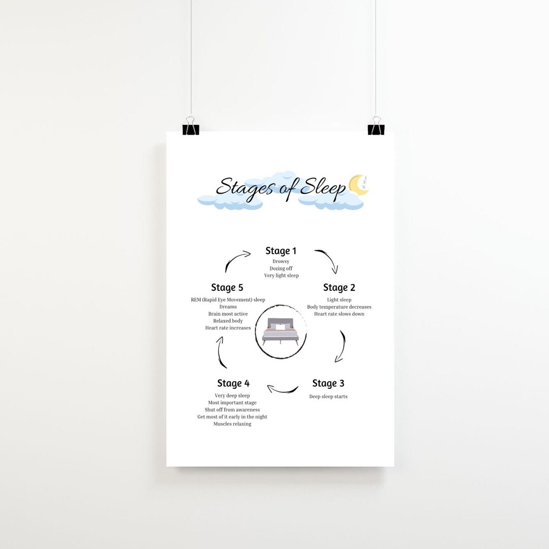 Stages of Sleep, Cycle of Sleep, Therapist Prints, Psychology Poster ...