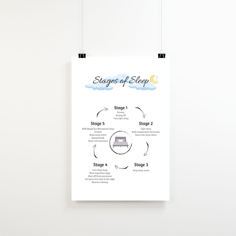 Stages of Sleep, Cycle of Sleep, Therapist Prints, Psychology Poster ...
