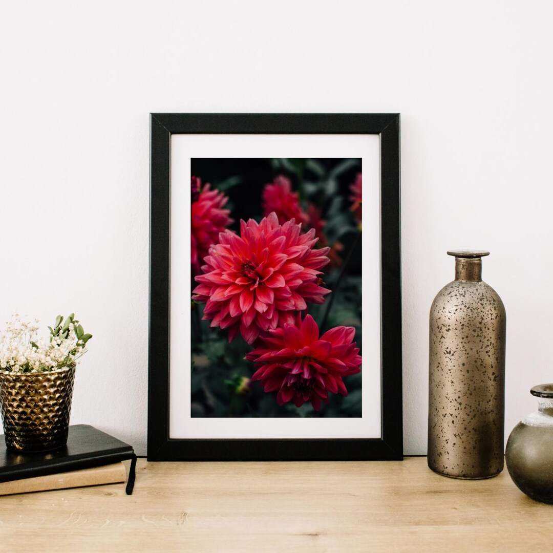 Dahlias Printable Digital Download - Etsy