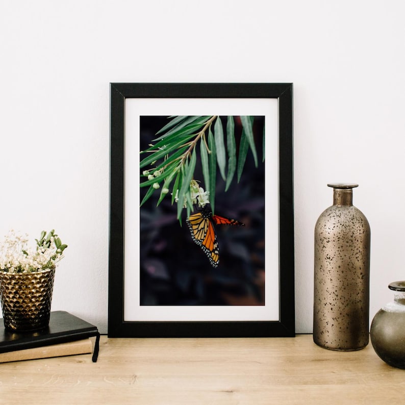 Monarch Butterfly Printable Digital Download - Etsy