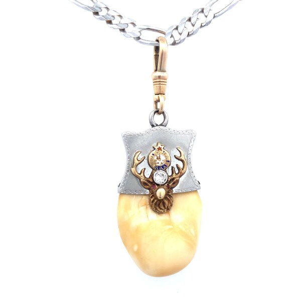 Elk Teeth - Etsy