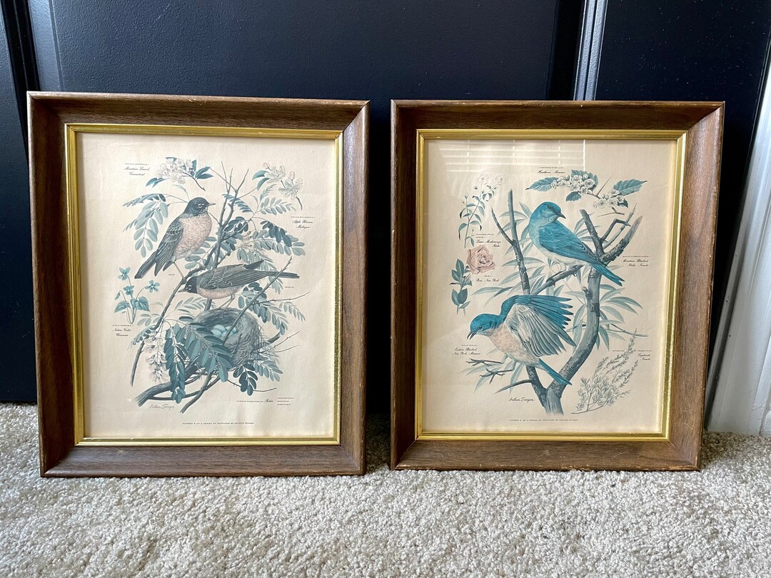 Mid Century Arthur Singer Prints Framed (num. 2 & 5) - Etsy