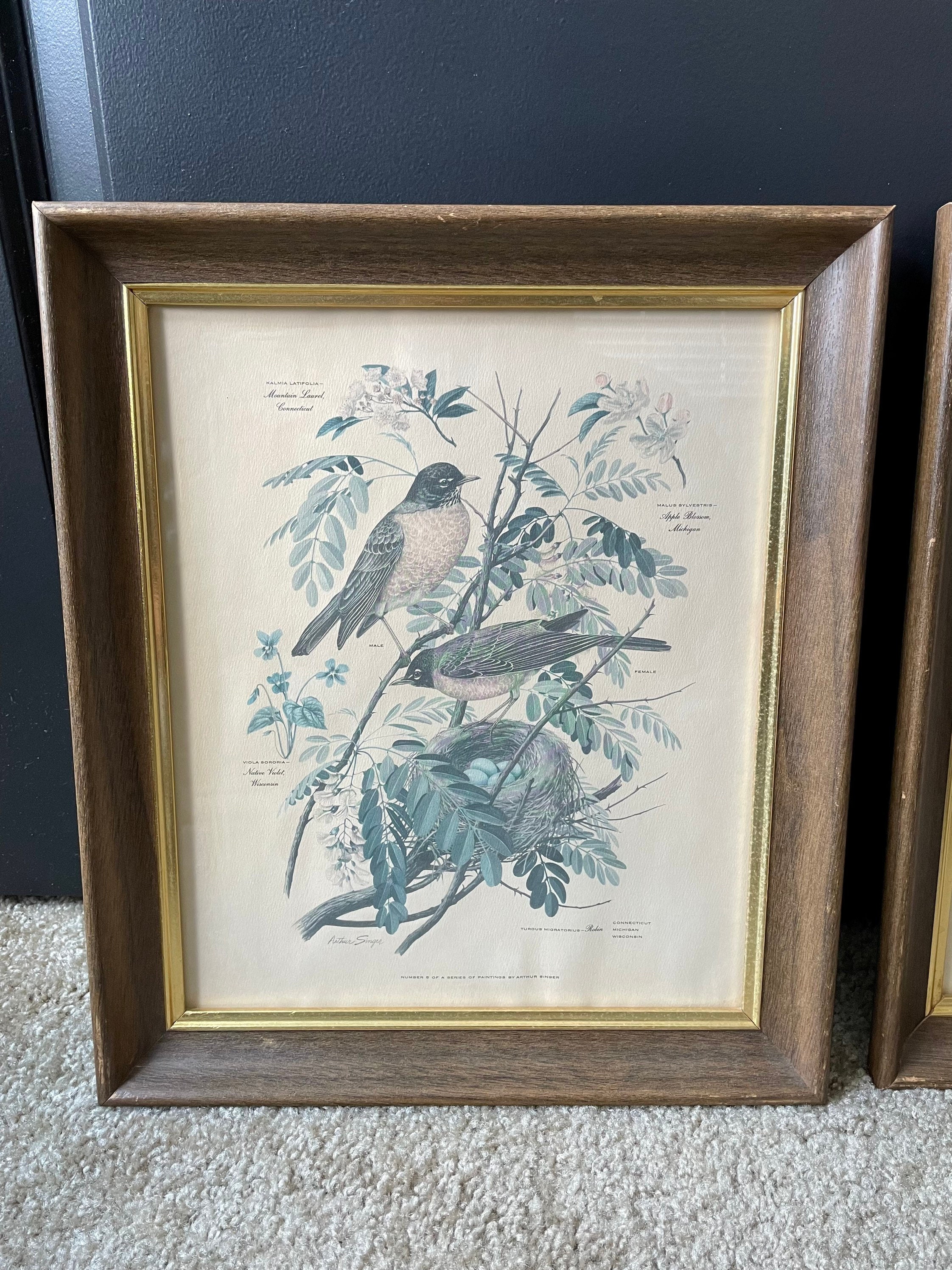 Mid Century Arthur Singer Prints Framed (num. 2 & 5) - Etsy