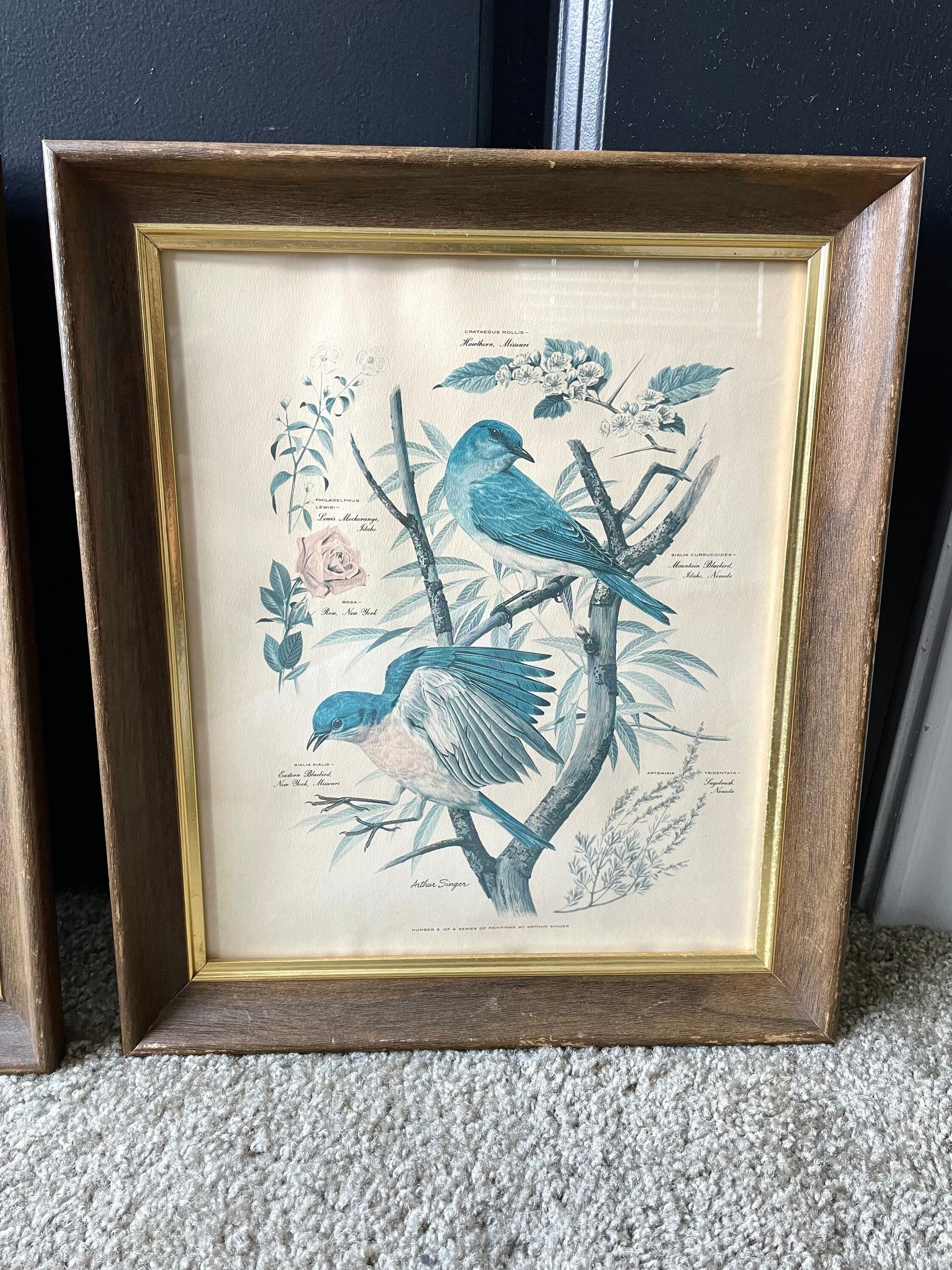 Mid Century Arthur Singer Prints Framed (num. 2 & 5) - Etsy