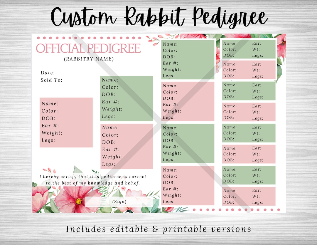 Custom Rabbit Pedigree Template | Instant Download | Editable Pedigree ...