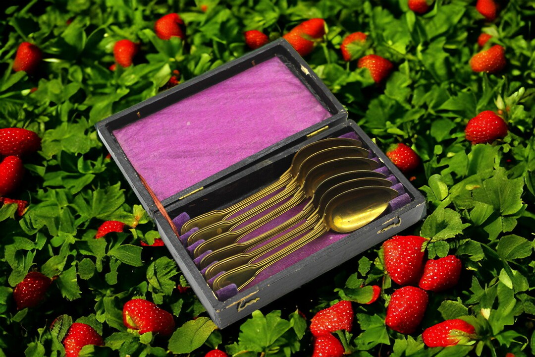 6 Pieces Vintage Brass Spoons, European Brass Dessert Spoon, Nostalgic ...